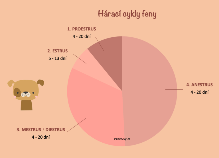 Hárání feny - Psiakočky.cz